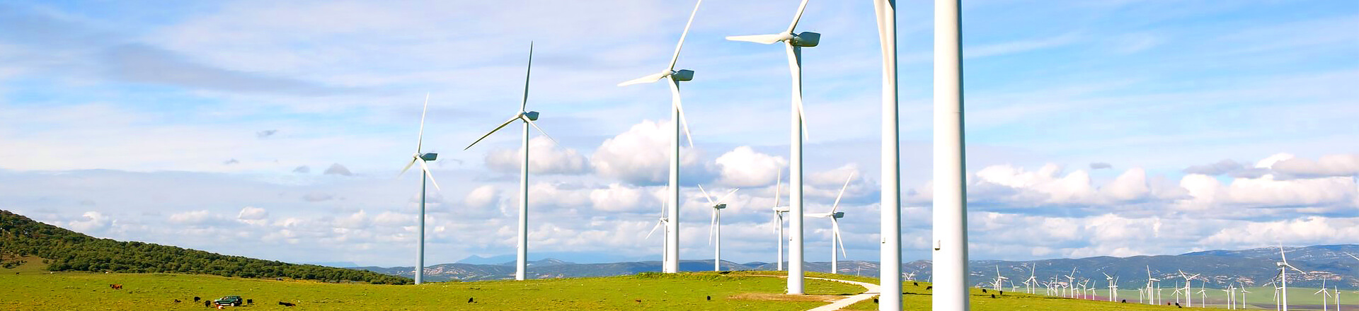 Covestro in Italy – Company Information | Covestro AG