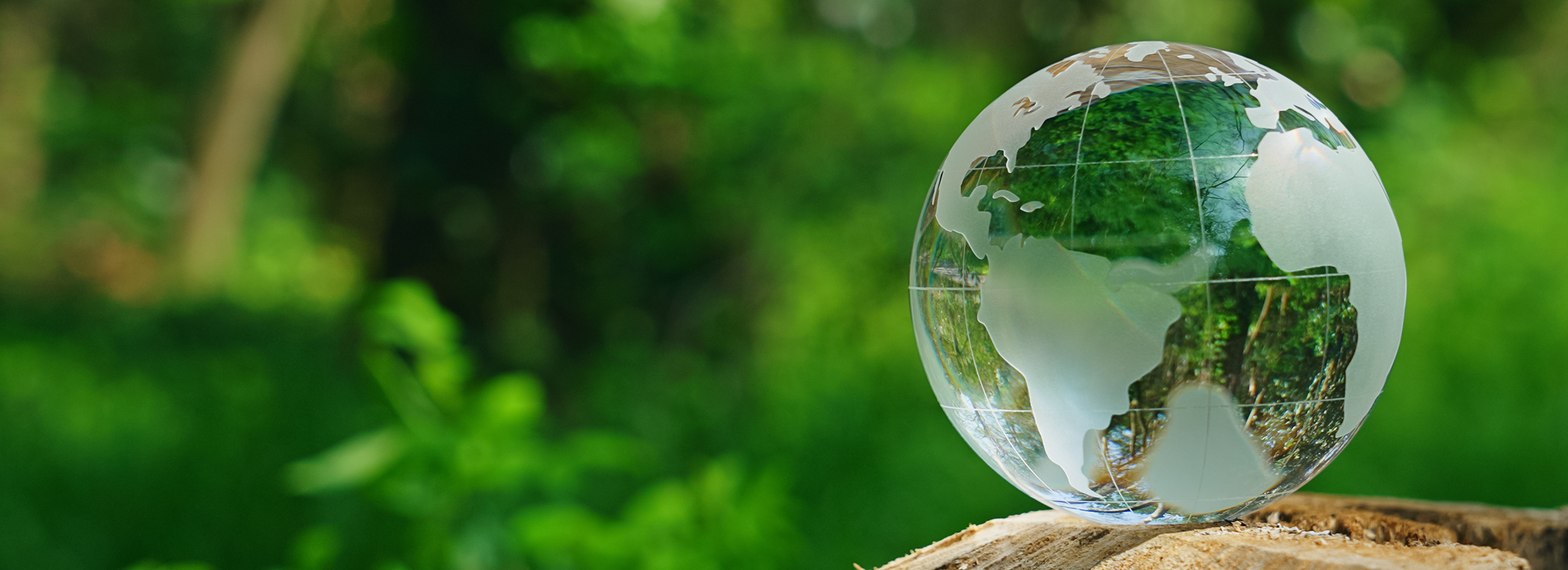 Responsible Care Policies | Covestro