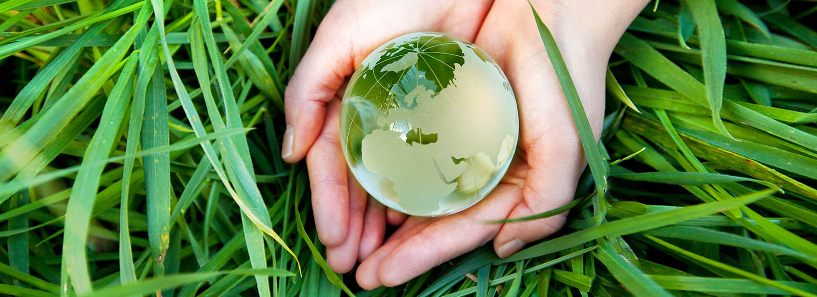 Volle Kraft voraus in Sachen Nachhaltigkeit | Covestro AG Volle Kraft voraus in Sachen Nachhaltigkeit | Covestro AG